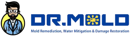 Dr. Mold of Michigan | Mold Services