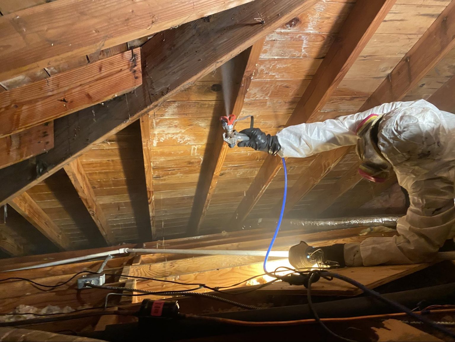 Dr. Mold of Michigan | Mold Services