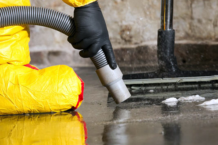 Dr. Mold of Michigan | Mold Services